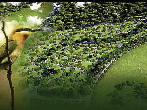 Elaro rekindling man’s affair with nature | Inquirer Business