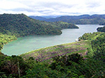 SC asked to reverse ruling upholding sale of Angat power plant to ...