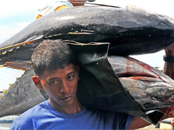 US to help PH bring fish back | Inquirer Business