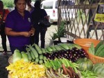 More Pangasinan farmers going organic | Inquirer Business