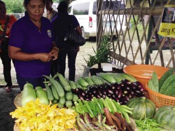 More Pangasinan farmers going organic | Inquirer Business