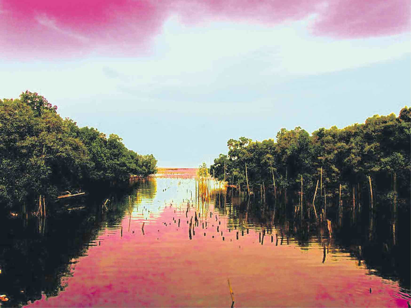 Savor the flavors, colors of Silay | Inquirer Business