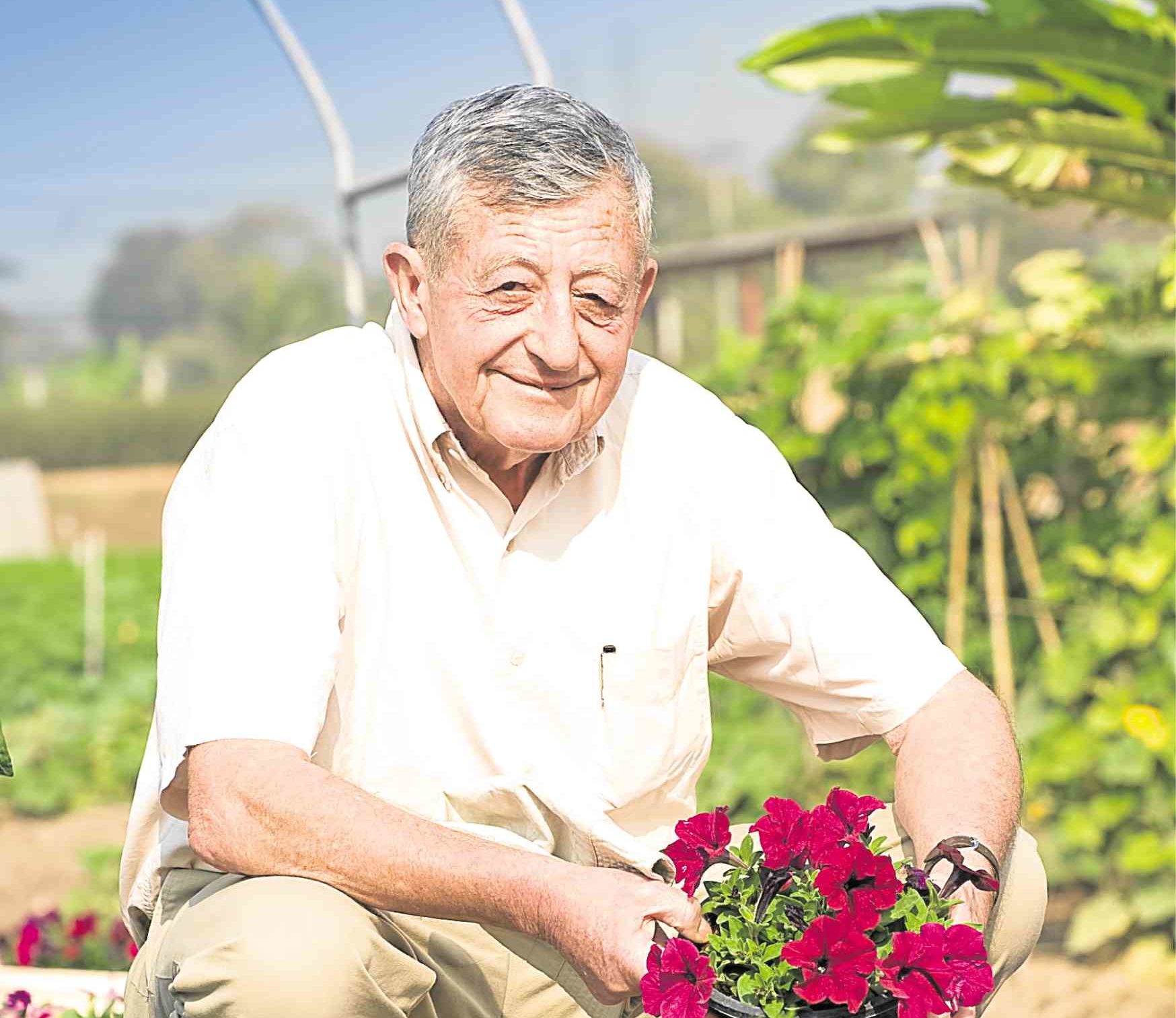 He is Groot | Inquirer Business