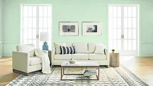 The real 2022 color of the year is green! | Inquirer Business