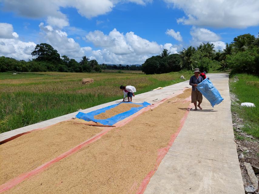 DA rolls out voucher system for rice farm aid distribution | Inquirer ...