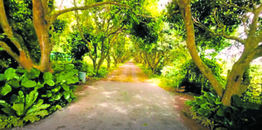 Areza Estate delivers modern downtown in Lipa | Inquirer Business