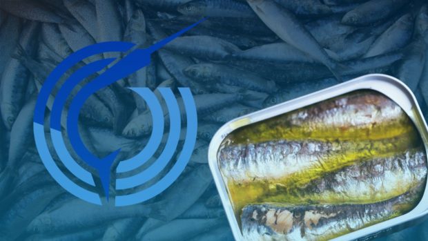 As sardine shortage looms, canners seek leeway in commercial fishing | Inquirer Business