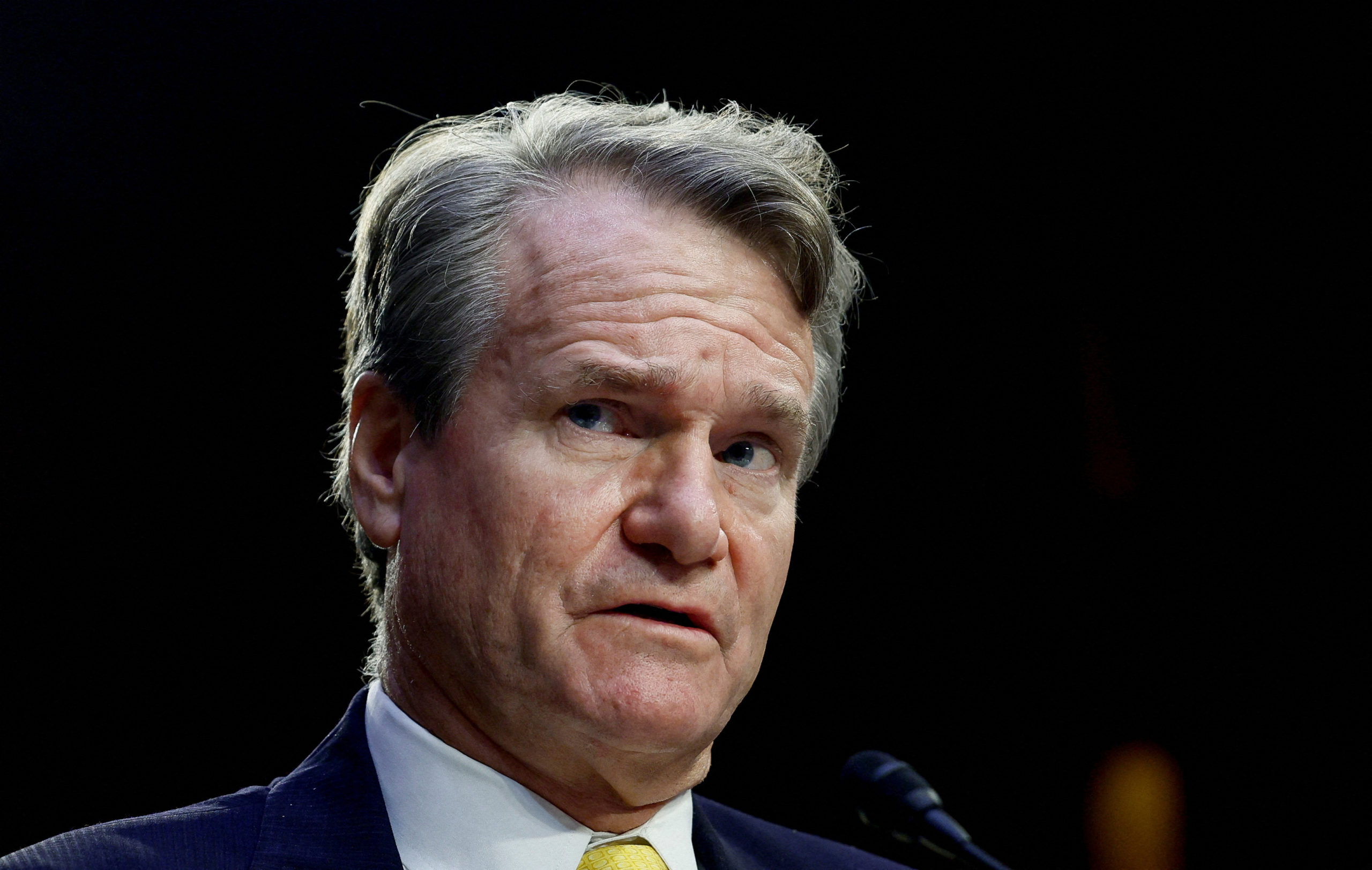 Bank of America CEO says 'we are capitalists' as anti-ESG critics gain ...
