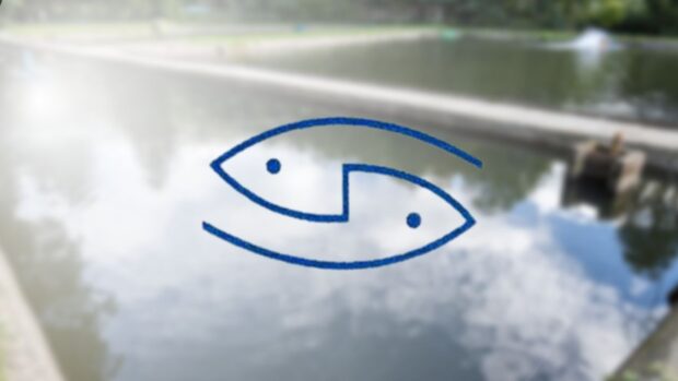 Alsons to expand aquaculture business in Sarangani | Inquirer Business