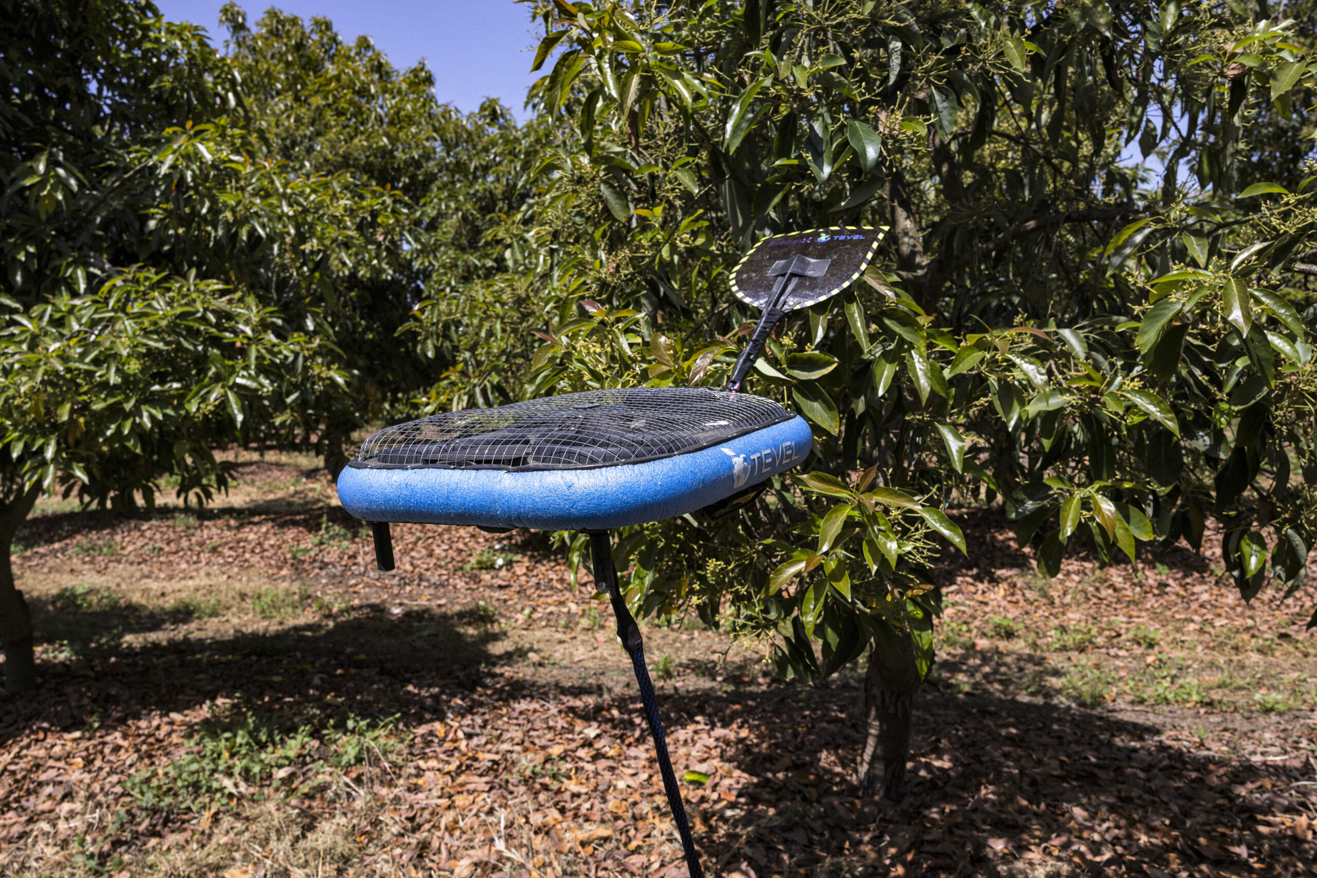 Israel enlists drones, AI and big data to farm for the future ...