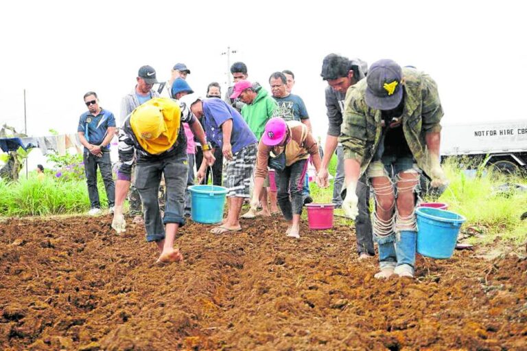 Gov’t initiates farm trials to boost PH soybean yield | Inquirer Business