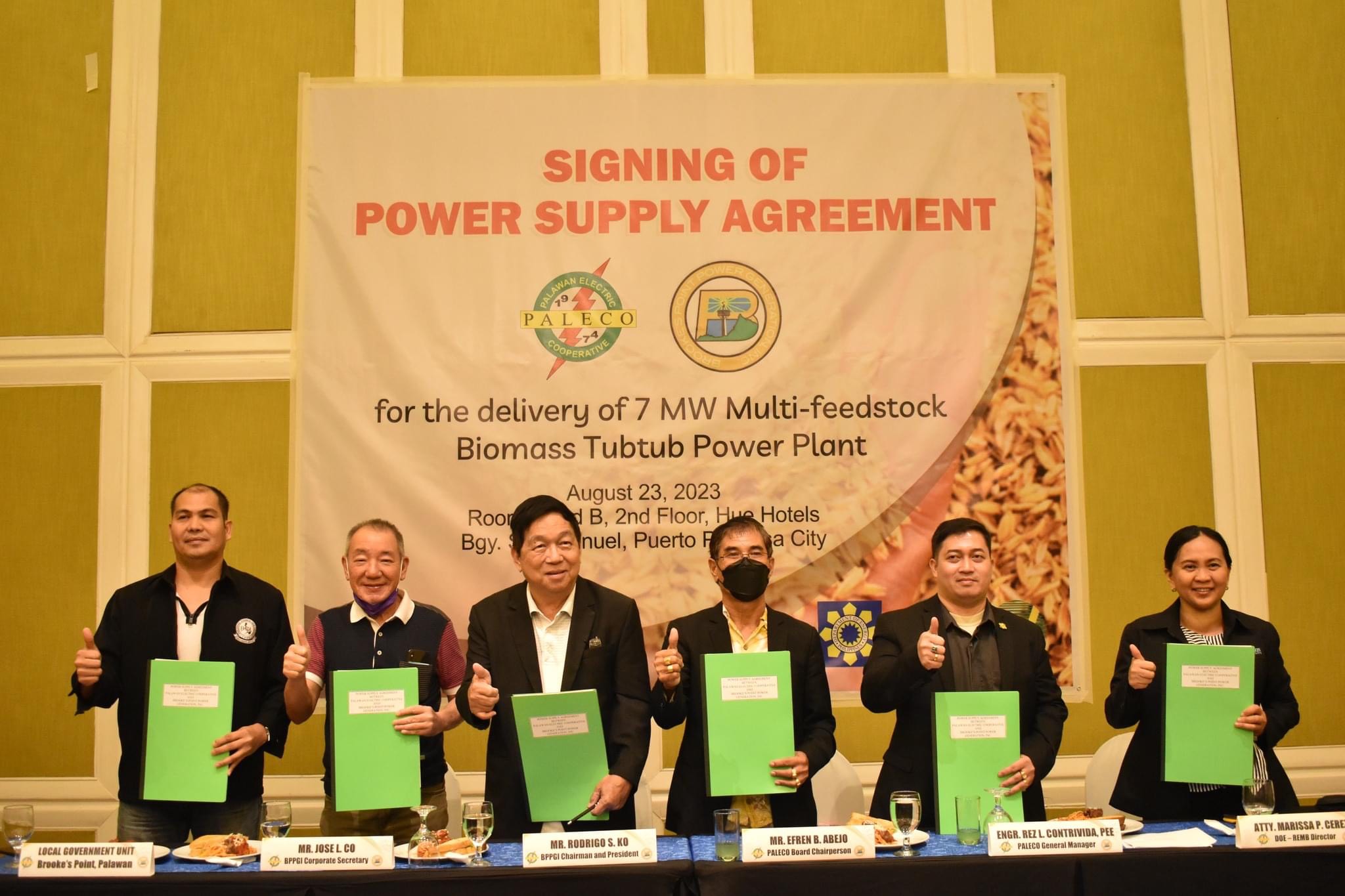 Paleco supplier to build 7-MW biomass power plant | Inquirer Business