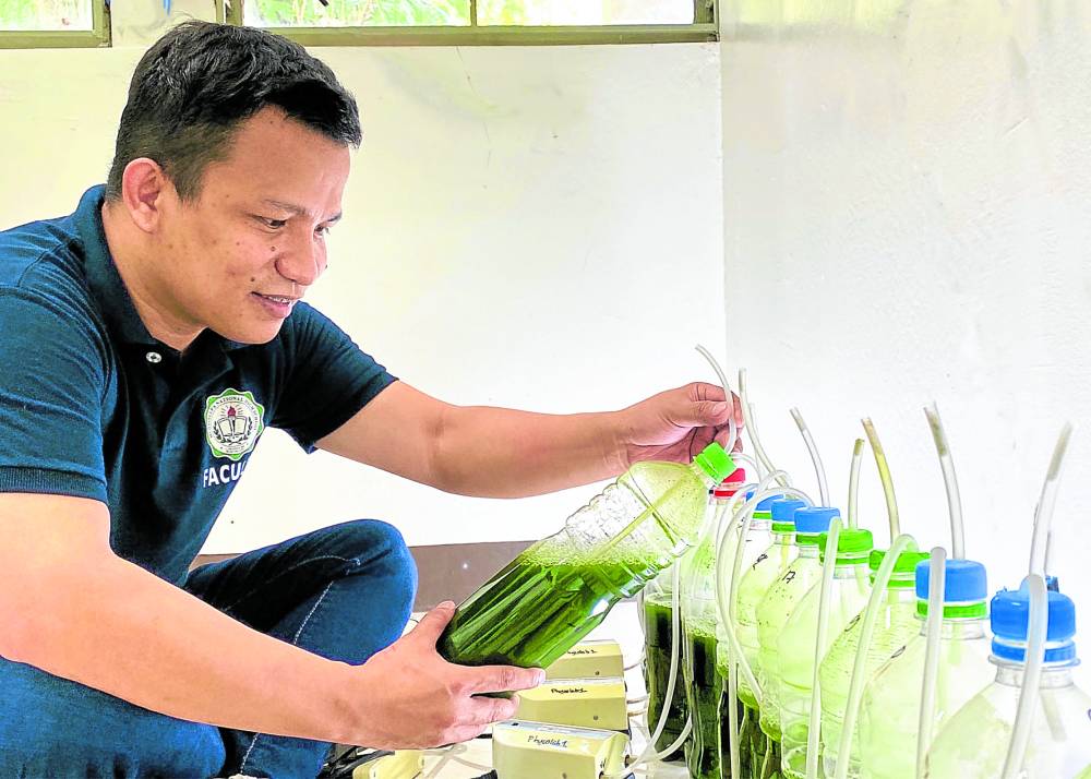 Biotech solution: High school’s algae farm aims to curb pollution ...