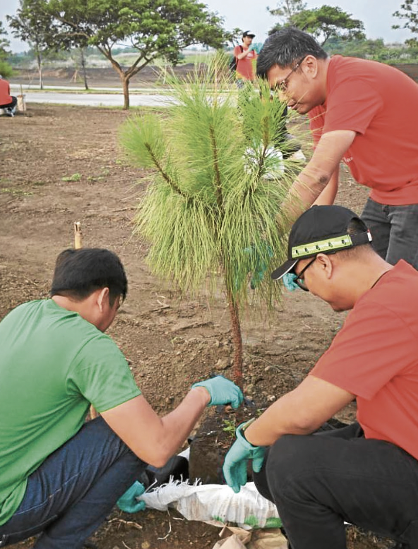 A green chapter: New seeds for a million more trees in Villar City ...
