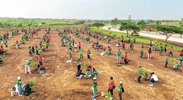 A green chapter: New seeds for a million more trees in Villar City ...