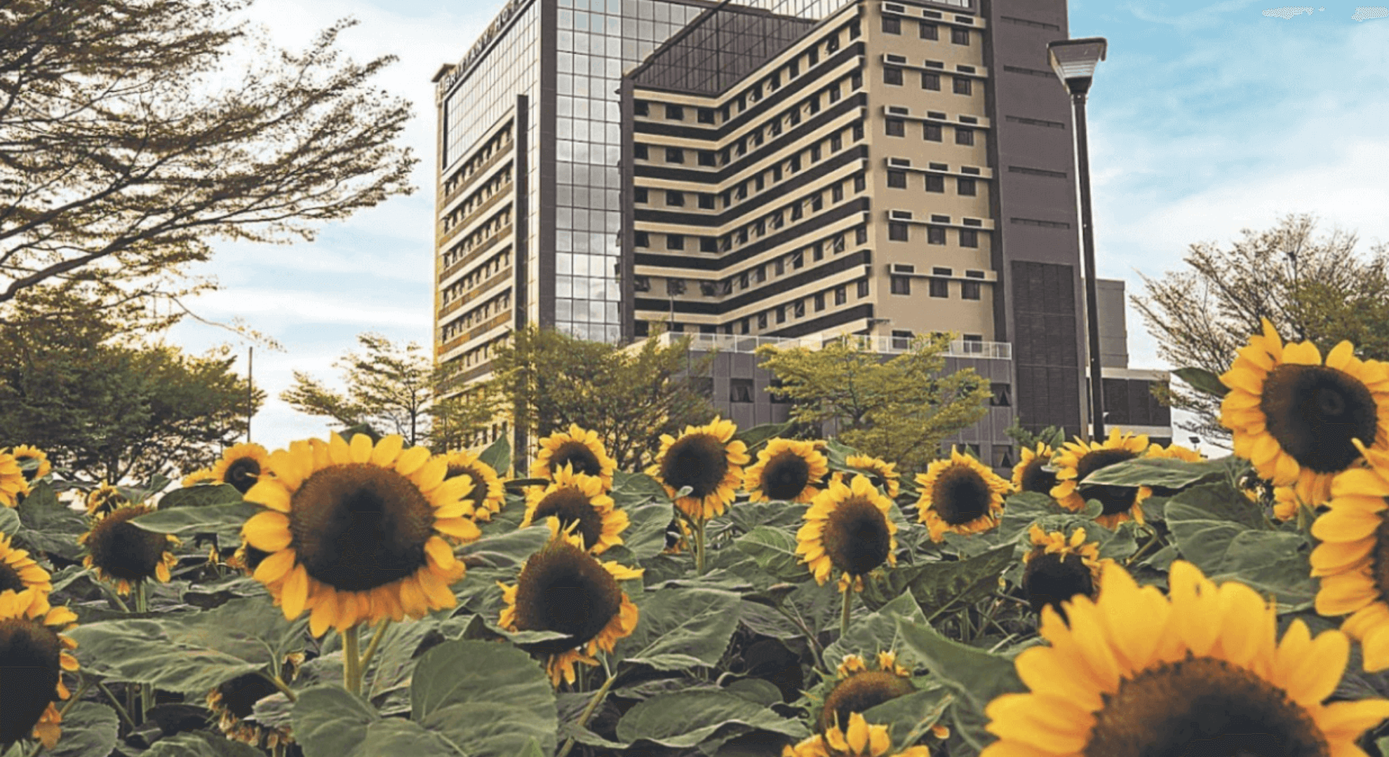 Brittany Hotel Villar City: Where the unexpected comes to life