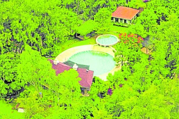 The healing power of greenery