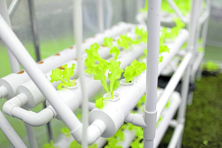 Laguna: PH’s largest provincial economy