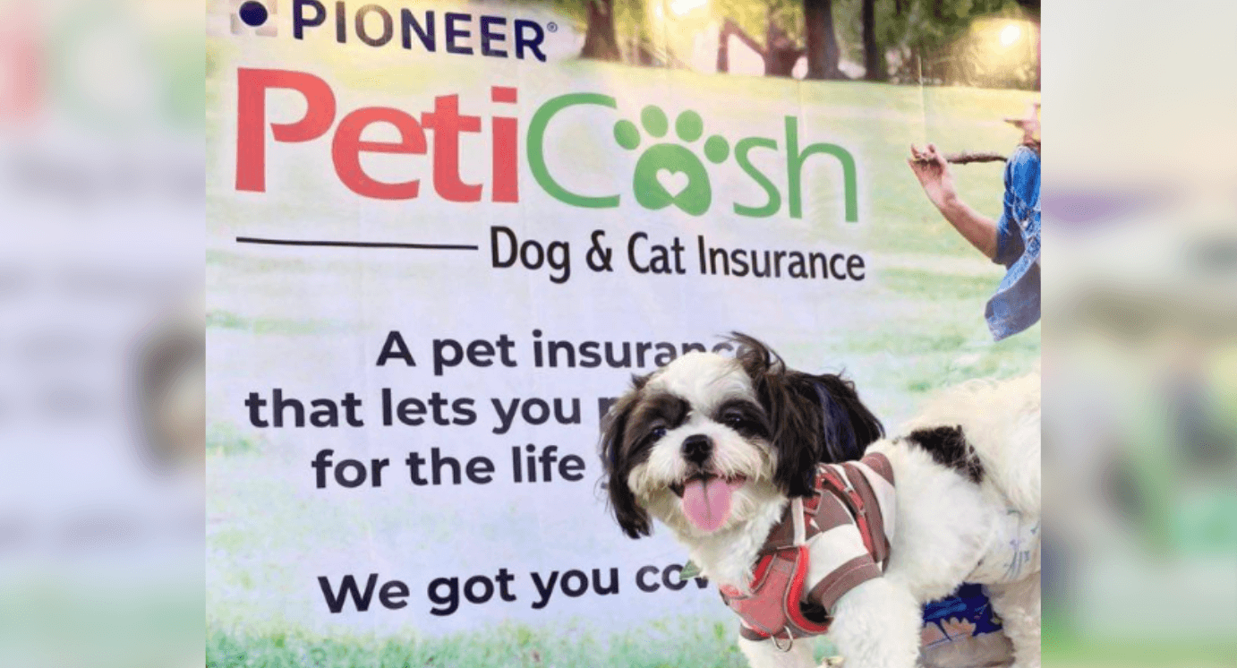 Pioneer Insurance introduces 'Dog and Cat Insurance' to strengthen ...