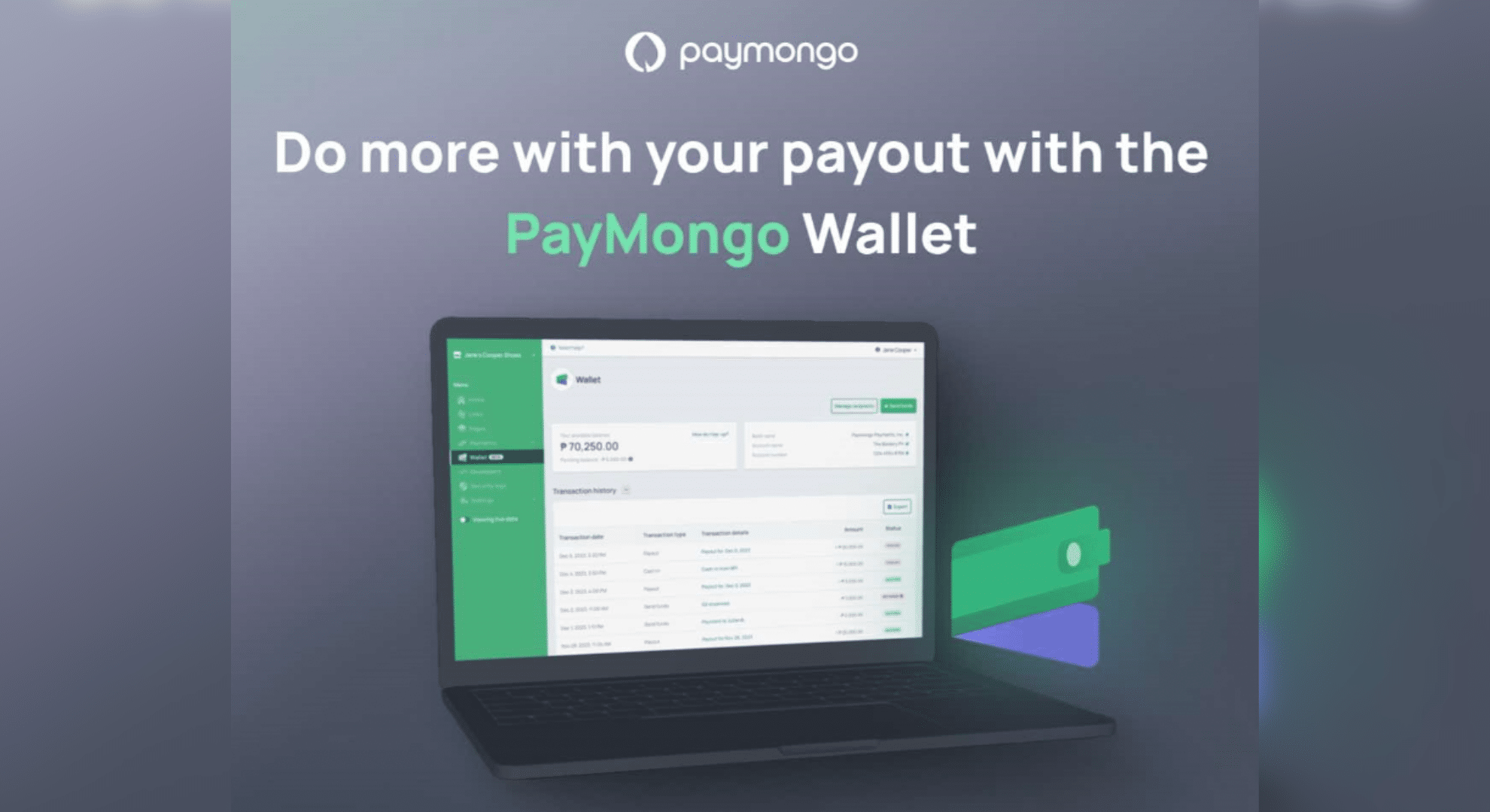 PayMongo launches Digital Wallet to empower SMEs in PH | Inquirer Business