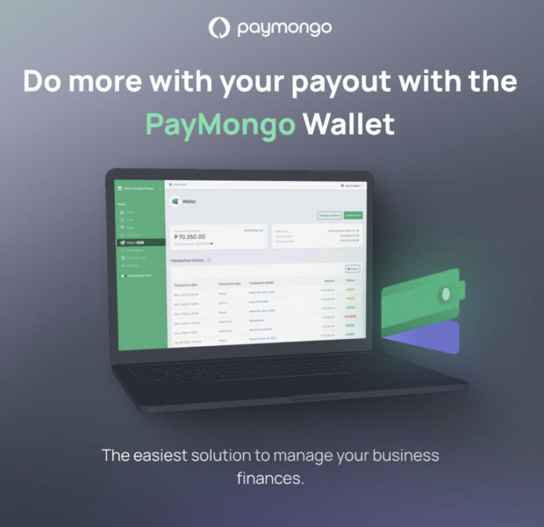 PayMongo launches Digital Wallet to empower SMEs in PH | Inquirer Business