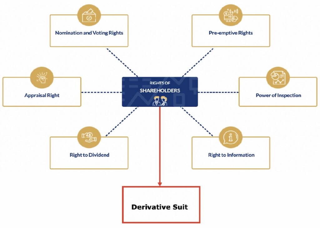 Stock corporations and shareholders’ rights (derivative suit)