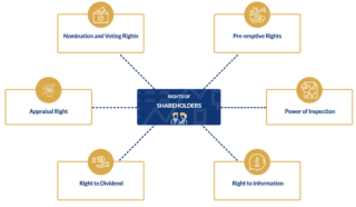 Stock corporations and shareholders’ rights