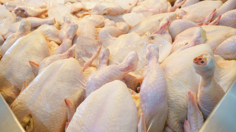 Chicken meat imports seen roosting higher in 2026