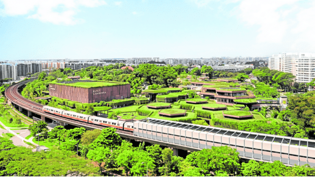 Regenerative design offers path to positive impact | Inquirer Business