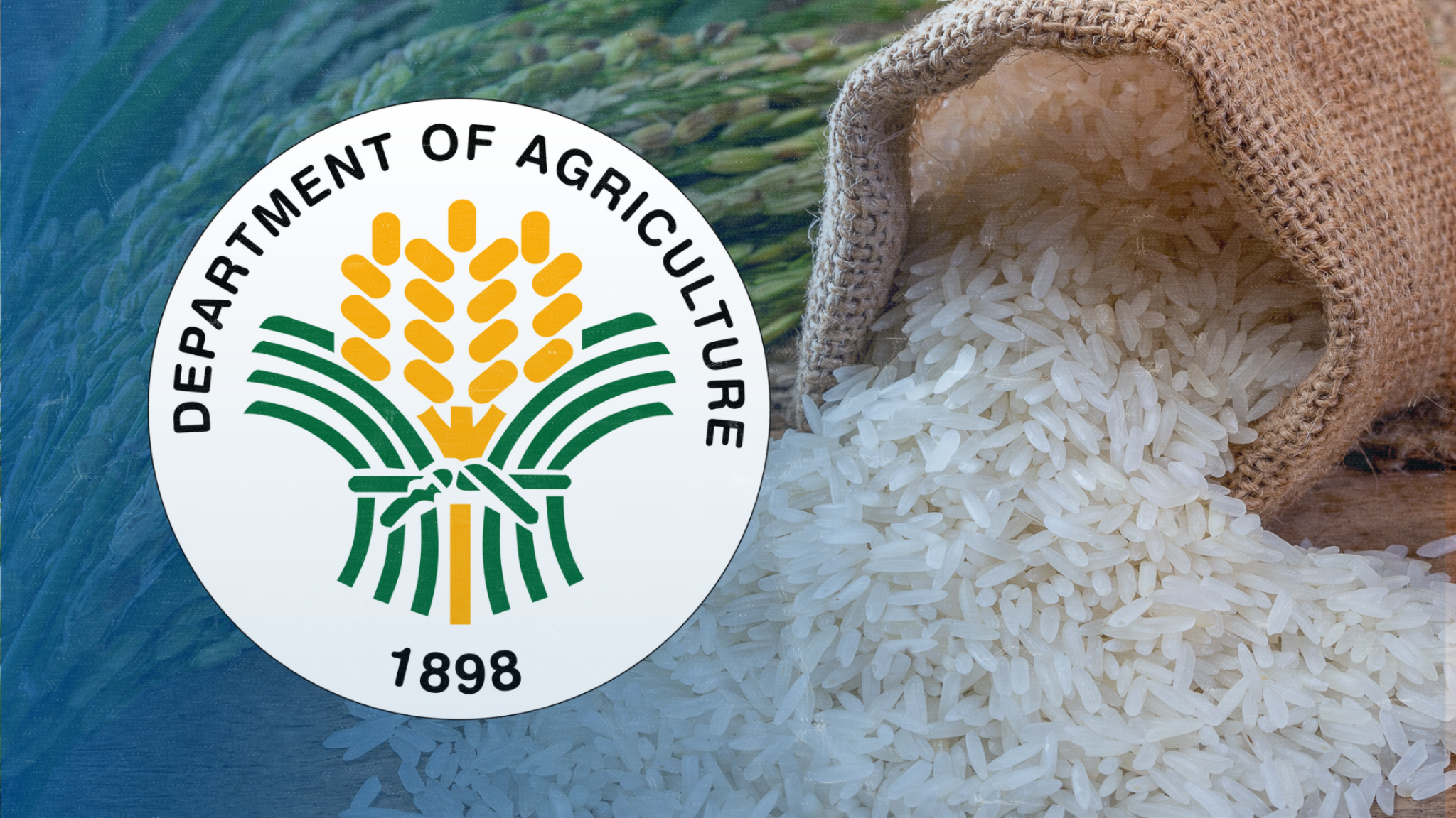 DA to lift food security emergency on rice 'as soon as possible'