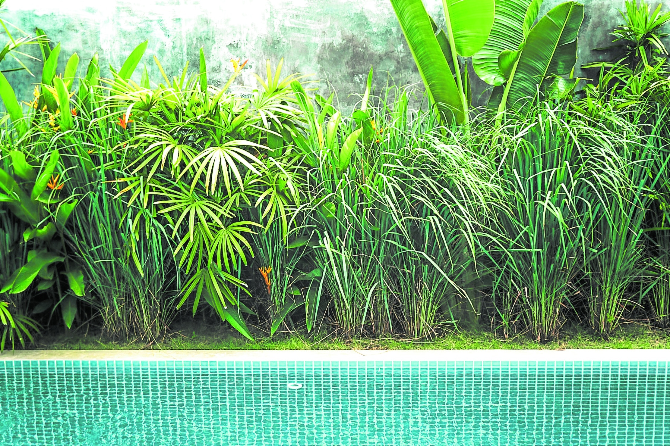 Setting up the best staycation experience | Inquirer Business