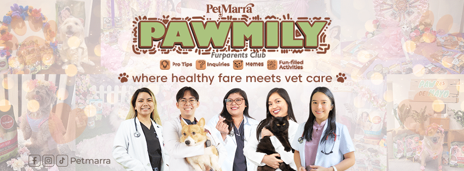 PetMarra joins the International Pet Summit: A forefront of pet care and a committed partner in ...