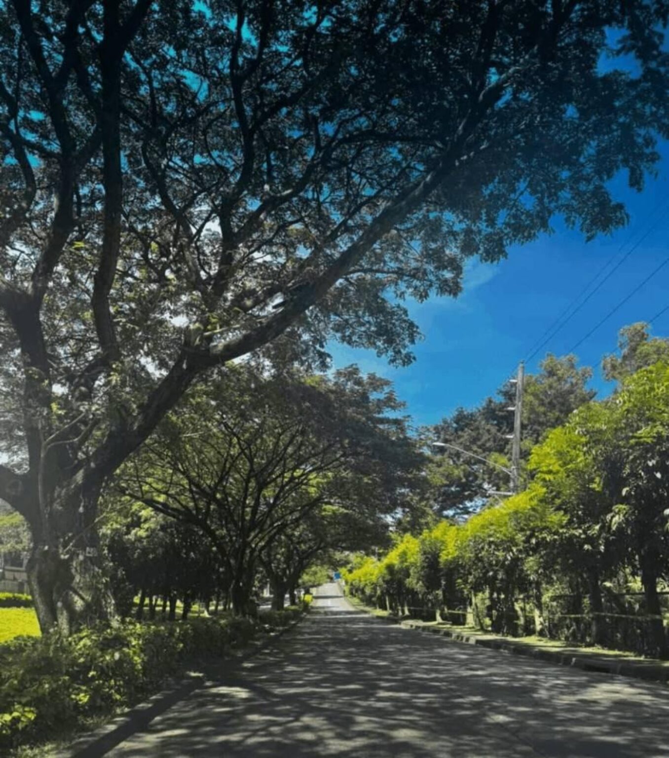 Signature Series set to make a mark in metro’s coveted addresses ...