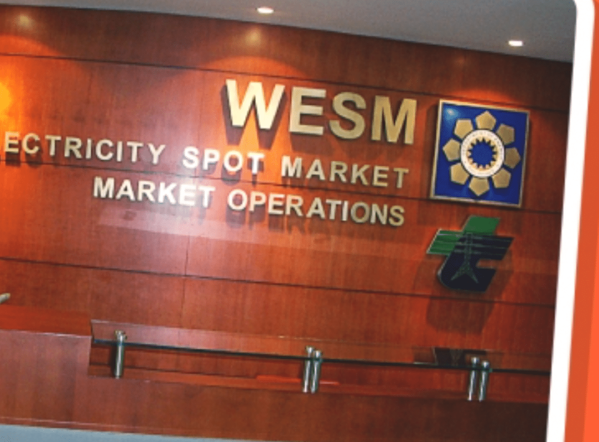 ERC suspends power spot market operations amid energy crisis